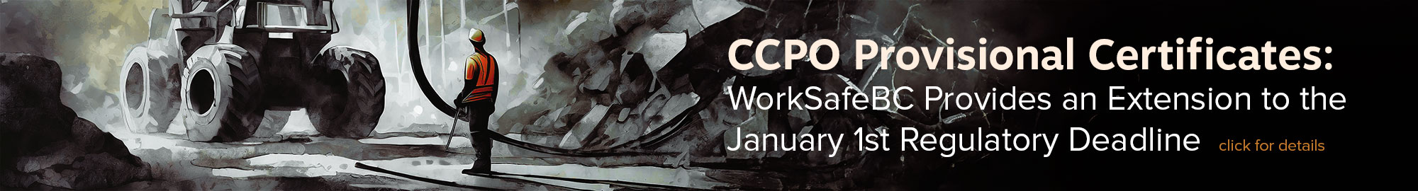 CCPO : Certified Concrete Pump Operator